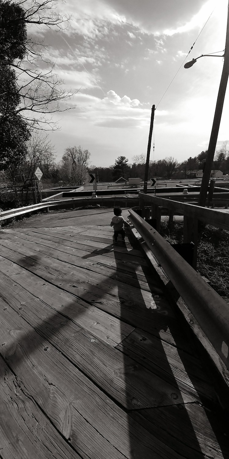 Bridge Photo Gallery – The Talbot Avenue Bridge